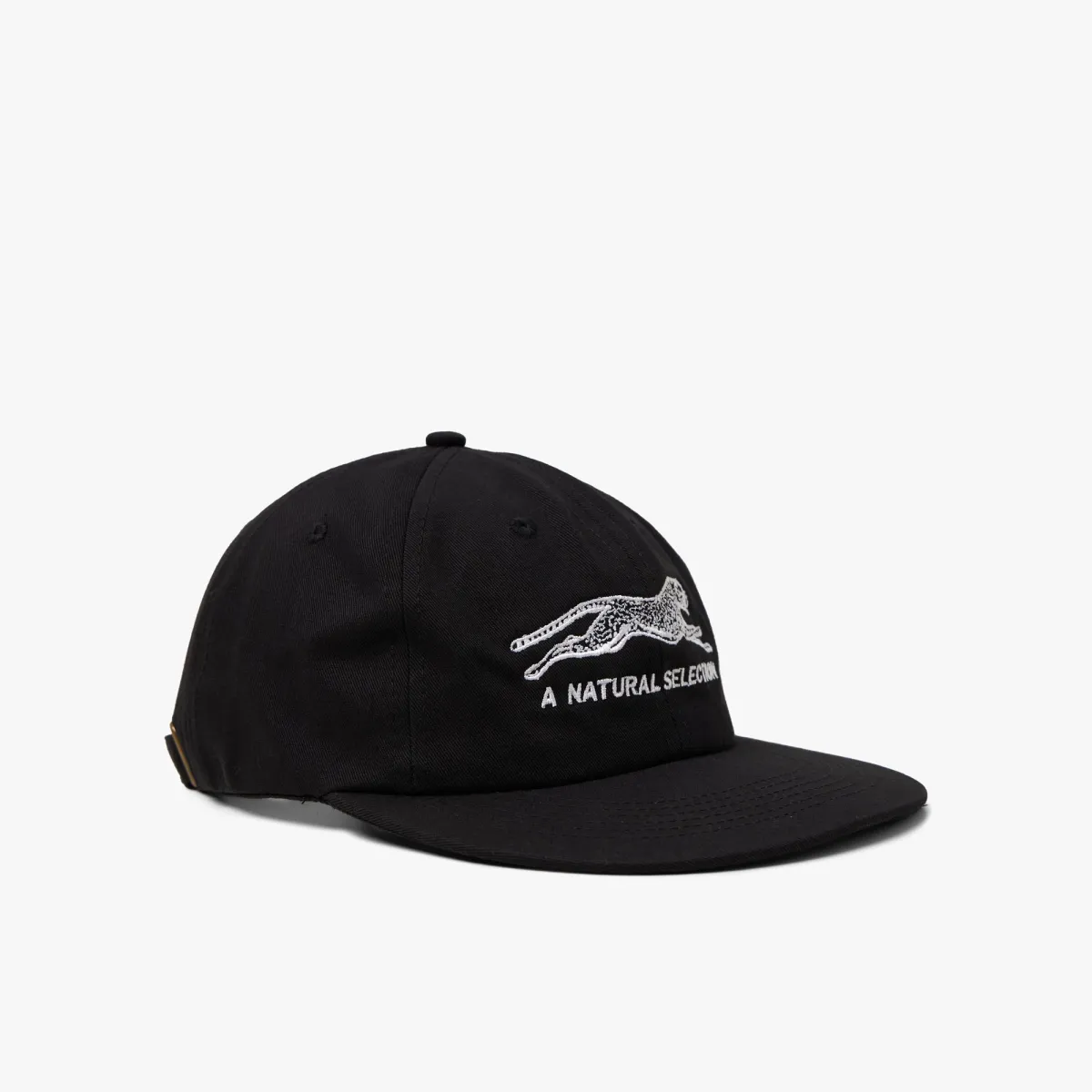 Brother Brother Natural Selection Cap Black / White | Parallel